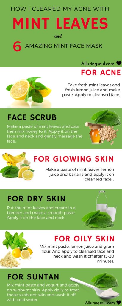 6 Homemade Mint Face Pack And My Experience With Mint On Skin
